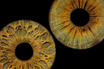Couple Eye Iris Photo – COSMIC EYE Iris Photo