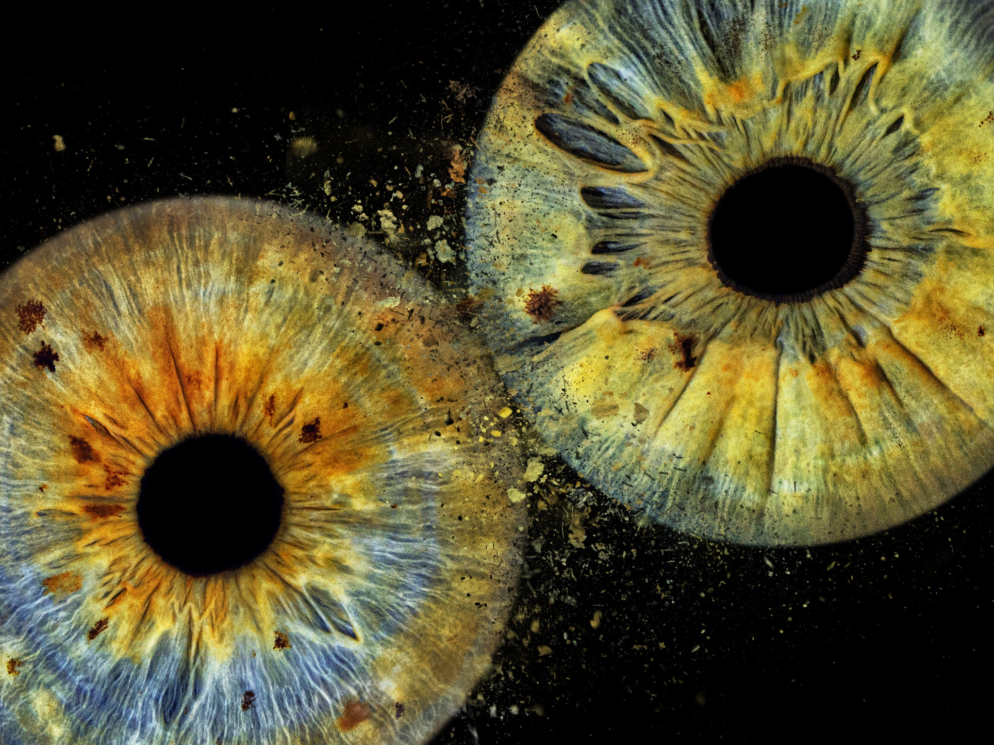 Couple Eye Iris Photo – COSMIC EYE Iris Photo